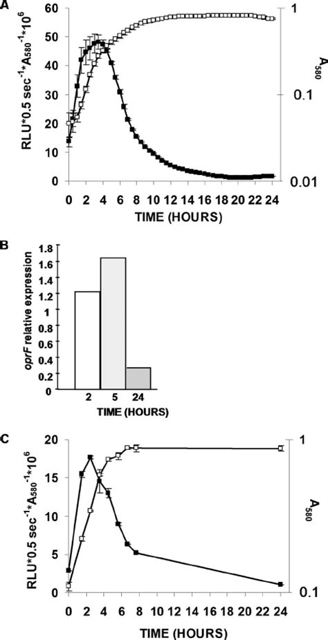 Relative Activity Of The Large Promoter Region Of Oprf In P Aeruginosa