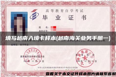 填写越南入境卡样本越南海关业务手册一毕业证样本网