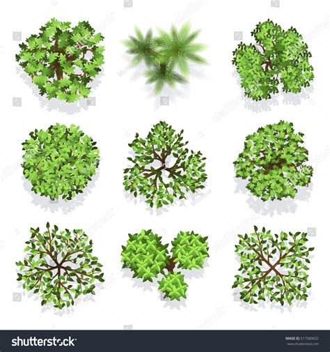 Trees Top View Set Landscape Design Stock Illustration 517589632 Shutterstock