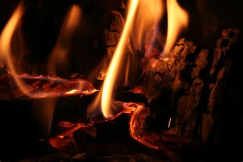 12 Char Sex Royalty Free Photos And Stock Images Shutterstock