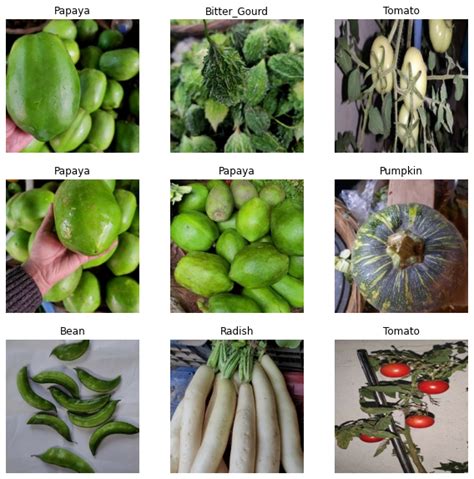 Training A Custom Image Classification Network For Oak D Pyimagesearch