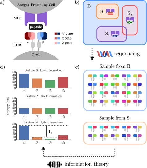 Figure 2 From Limits On Inferring T Cell Specificity From Partial