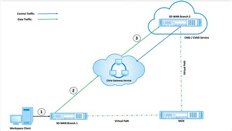 Citrix Cloud And Gateway Service Optimization Citrix Sd Wan Orchestrator