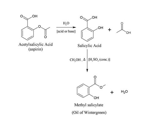Salicylic Acid And Methanol Mechanism