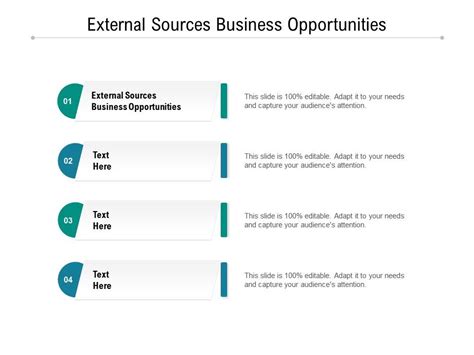External Sources Business Opportunities Ppt Powerpoint Presentation Icon Diagrams Cpb