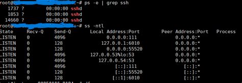重置实例了急急SSH更改端口失败后连不上了 开发调优 LINUX DO