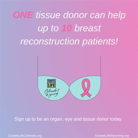 Breast Cancer Awareness Month Donated Tissue Can Help With Breast