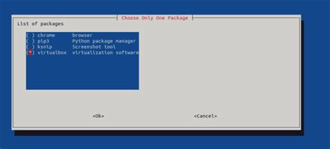 Create Gui Dialog Boxes In Bash Scripts With Whiptail Ostechnix