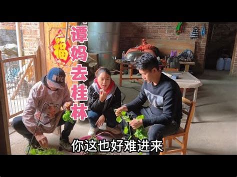 小九身体差老谭叫谭妈去桂林帮忙做饭没想到谭妈立马答应 YouTube