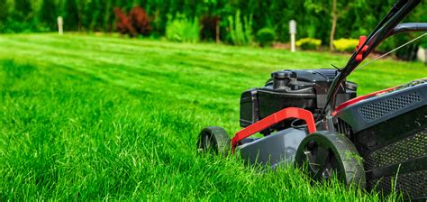 Can You Mow Your Lawn After Fertilizing Chorbie Home Services