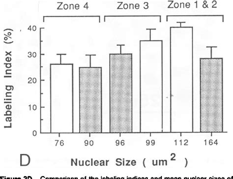 Figure 1 From Matrix Driven Cell Size Change Modulates Aortic