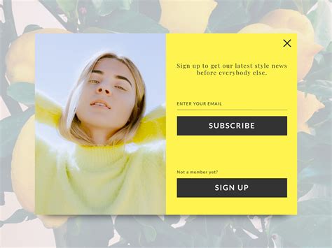 Daily Ui 016 Pop Up Overlay On Behance