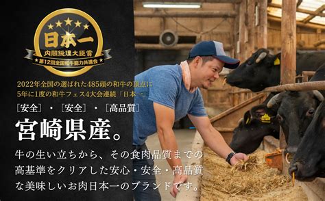 【楽天市場】【ふるさと納税】宮崎牛 ステーキ食べ比べセット600g ふるさと納税 牛肉 肉 お肉 リブロース サーロイン ヒレ ステーキ