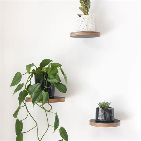Floating Shelves With Plants Plant Ideas