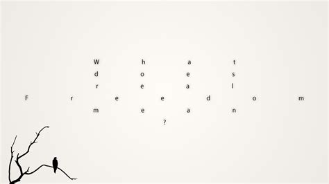 White Background With What Text Overlay Writing Text Birds Simple