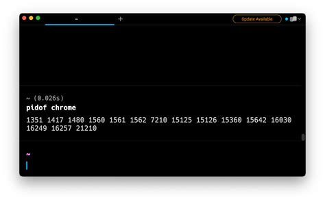Warp The Linuxunix Kill Command Identifying And Killing Proces