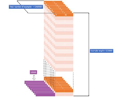 Dataset Array Structure With Dimensions Associated Download Scientific