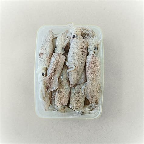 Cumi Cendol Kasar 500 Gram Seafood22