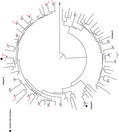 Maximum Likelihood Phylogenetic Tree Showing The Hiv Transmission
