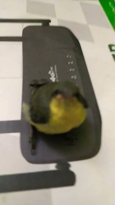 Chi Chi Karte Aaichidiya Youtube