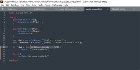 Solución ¿puedo Conducir Lógica De Programación Conceptos