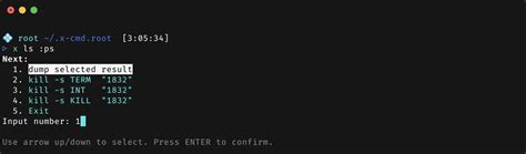X Ls 2 查看系统信息 X Cmd Mod Cookbook
