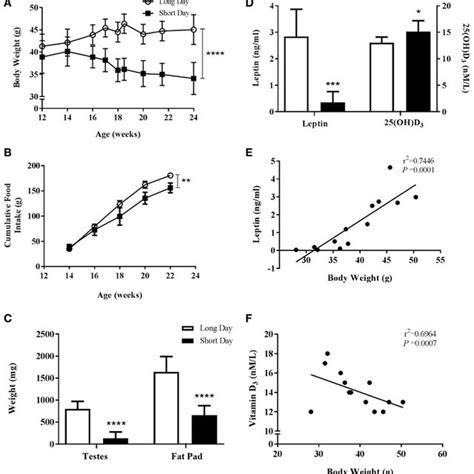 Physiological Measurements Of Adult 6 Month Olds Male Siberian