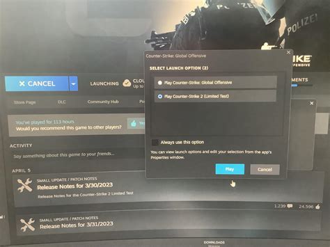 Omg I Got Cs2 With 113 Hours Of Play Time R Csgo