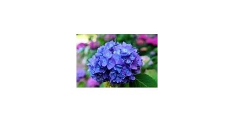 Mary Sterkel Obituary 1928 2018 Legacy Remembers