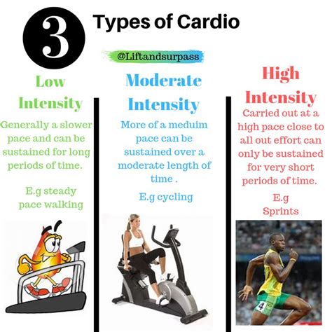 3 Types Of Cardio