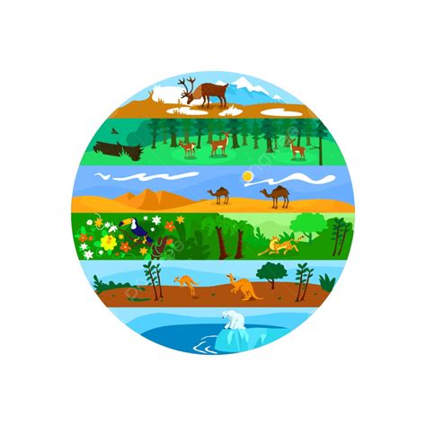 Biodiversity Vector PNG Images Biodiversity 2d Vector Web Banner