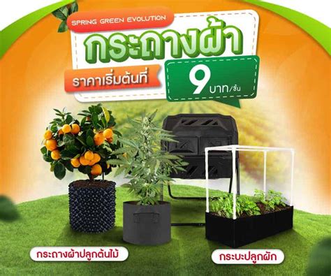 กระถางผ้า กระถางผ้าปลูกต้นไม้ Spring Green Evolution