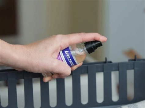 Feliway Cat Calming Pheromone Spray 24 Spray To Calm Cats Easily