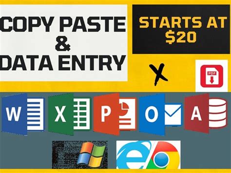 A Professionally Copy Paste Data Entry Upwork