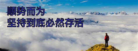 s block sbc超级公链 核心技术引领全球 优质生态稳步落地 跟紧时代趋势 致富先人一步！ facebook