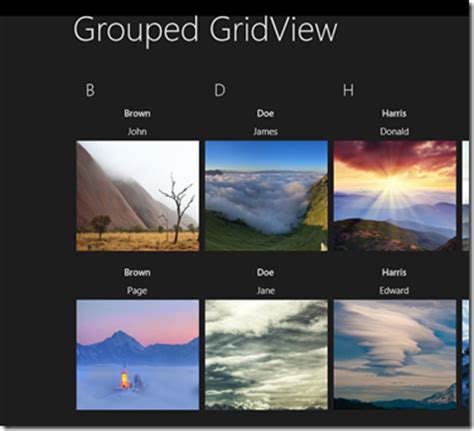 Working With Gridview Control In Winrt C Xaml Metro Style App Farhan S Windows Blog