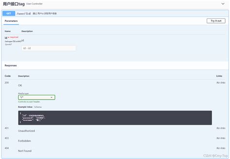 spring boot 整合 springfox swaager springfox boot starter csdn博客