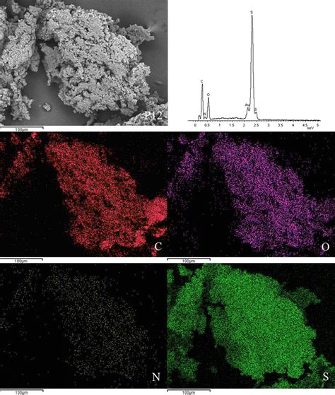 Sem Micrographs At ×300 Edx And Elemental Maps For Carbon C Oxygen
