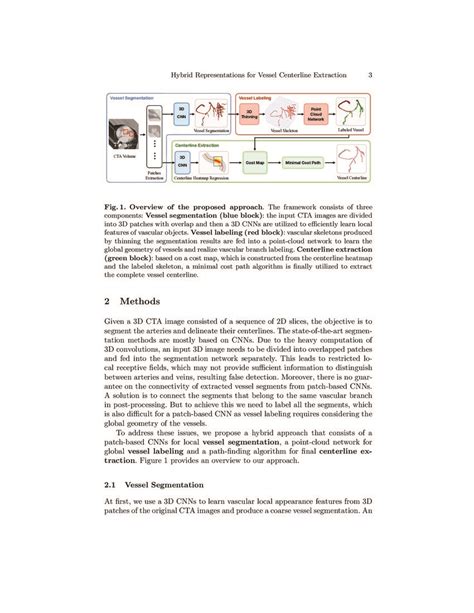 Learning Hybrid Representations For Automatic 3d Vessel Centerline Extraction Deepai