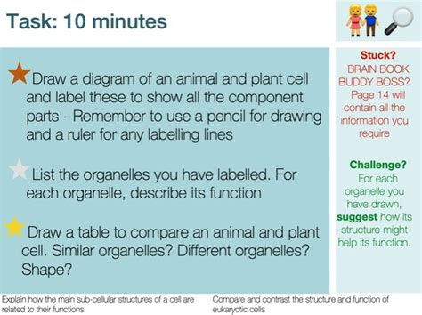 Cells Structure Complete Lesson Gcse 9 1 Teaching Resources