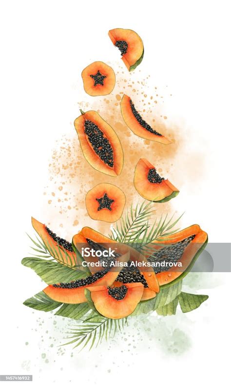이국적인 열대 파파야 과일 수채화는 고립된 배경에 주스 디저트의 손으로 그린 그림입니다 추상적 인 스플래시와 녹색 야자 잎이있는 수직 구성 음식 그리기 0명에 대한 스톡