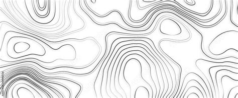 Topographic Map And Landscape Terrain Texture Grid Abstract White
