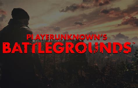 PUBGPLAYERUNKNOWNS BATTLEGROUNDS 攻略 Wiki