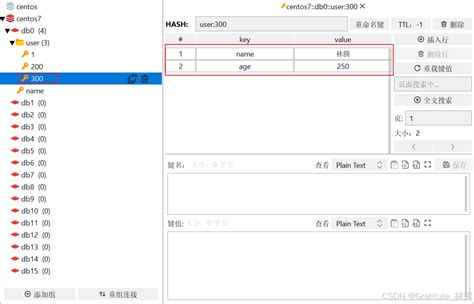 Redis Redistemplate操作hash类型redistemplate Hashkey批量查询 Csdn博客