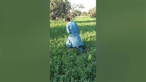 گاس چور نیو فنی ویڈیو 🌿🌱😛😁 Youtube