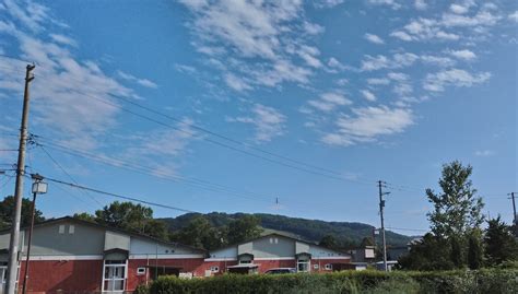 今日の空模様 はむ子の日常