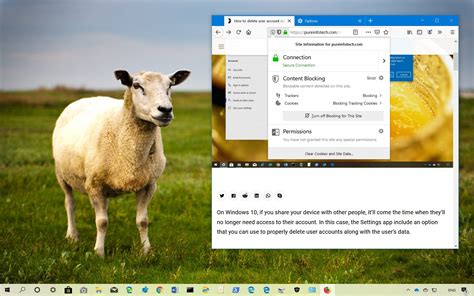 How To Disable ‘content Blocking Per Website In Firefox Pureinfotech