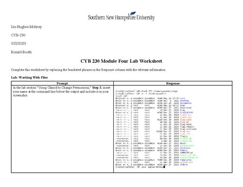 CYB 230 Module Four Lab Worksheet Isis Hughes Mohney CYB 5 22