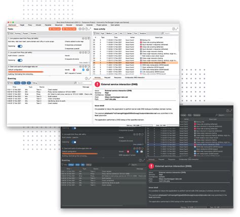 Portswigger Burp Suite Professional Program Do Testów Soft360pl