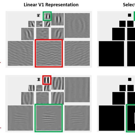 Advantages Of Artificial Stimuli Model Related Construction Of Stimuli Download Scientific